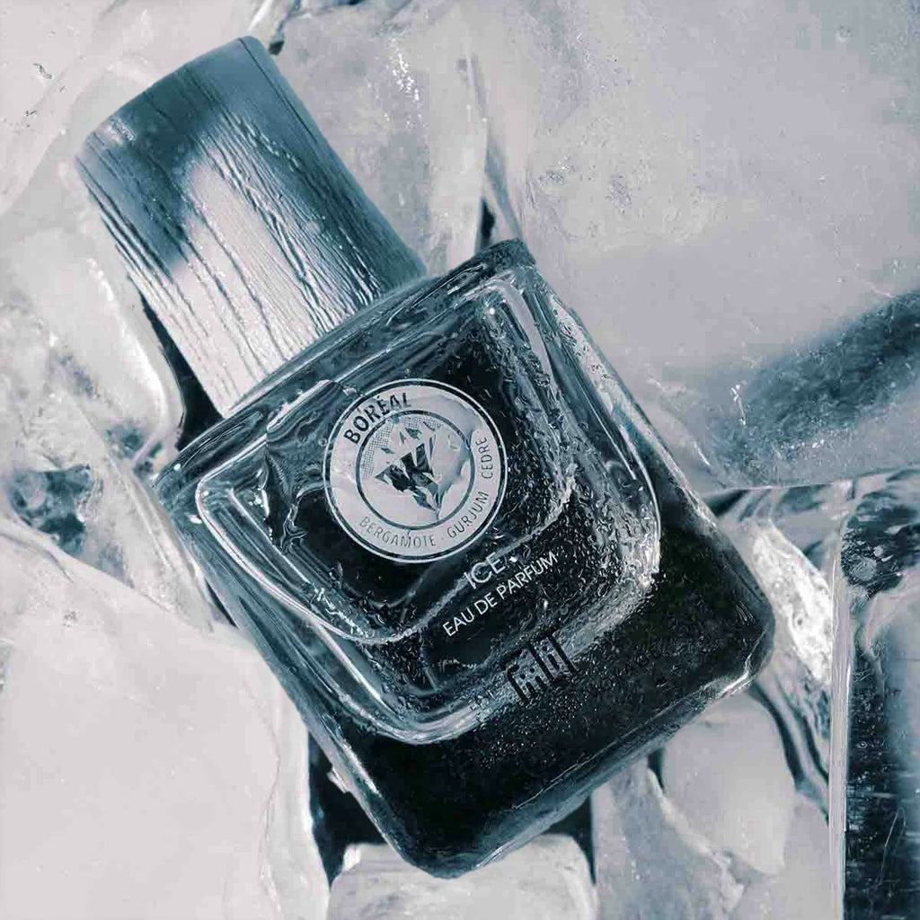 ICE - BOREAL Perfume